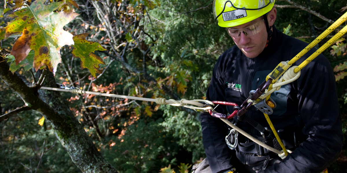 Arborists — Knot & Rope Supply