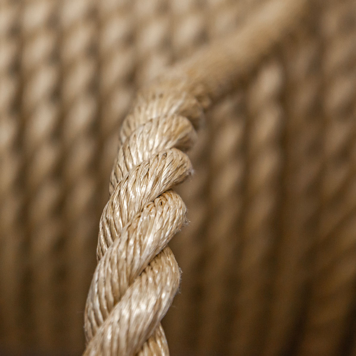 1 1/4" Pro Manila — Knot & Rope Supply